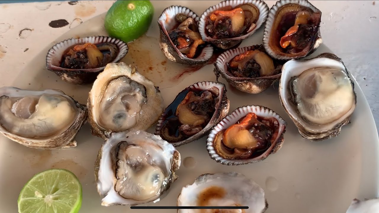 Ostras y ostiones, fuente de vitaminas y minerales | Noticias de Salud